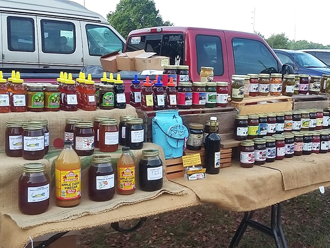 Liquid gold in mason jars, each with its own floral personality. The difference between store-bought and this honey is like comparing elevator music to a live concert.