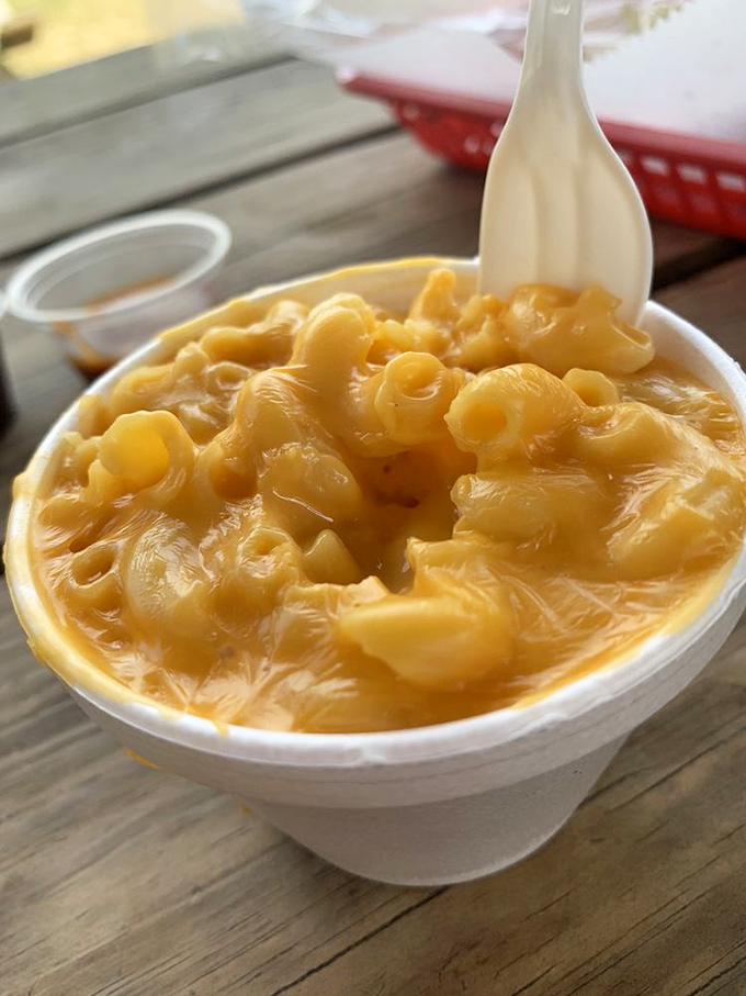 Mac and cheese so creamy it should require a warning label: "May cause involuntary food moans in public places."