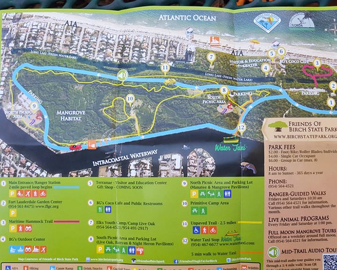 Treasure map for grown-ups: This colorful guide reveals Hugh Taylor Birch State Park's secrets, from hidden trails to the best spots for spotting turtles.