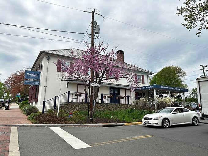 Market Salamander welcomes spring with a redbud tree that seems to have coordinated its blooming schedule with the shop's marketing department.