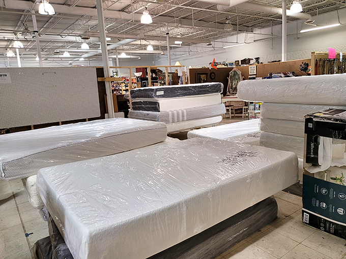 The mattress section: where dreams come vacuum-sealed and budget-friendly, ready to be released from their plastic prisons.