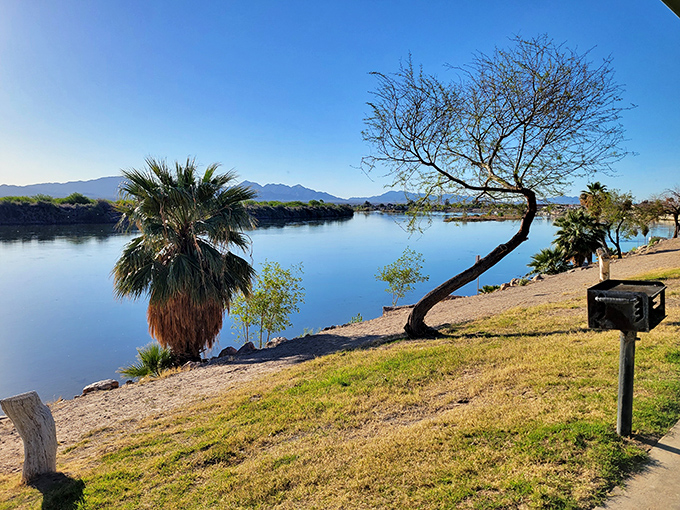 The Colorado River's edge offers a front-row seat to nature's daily performance &ndash; no tickets required, just bring your appreciation.