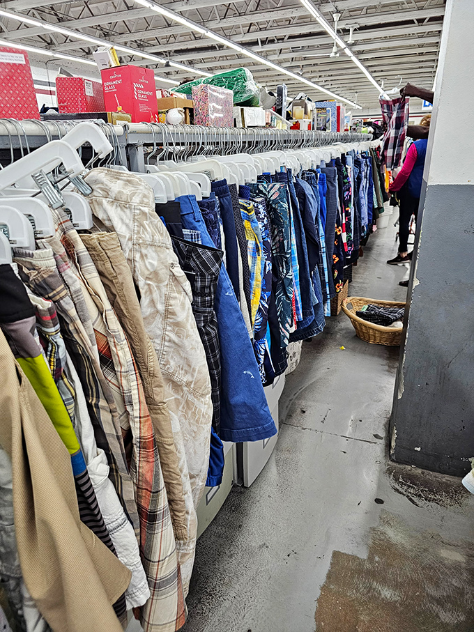 Men's shorts in every style imaginable - because Florida comfort comes in all sizes and colors here.