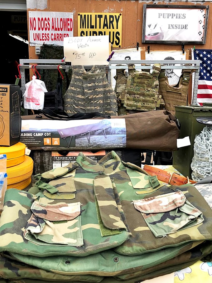 Military surplus meets outdoor adventure. These tactical vests and camo gear attract everyone from hunters to paintball enthusiasts.