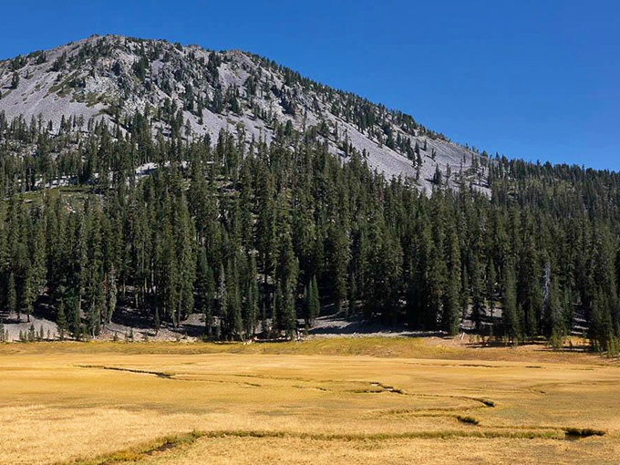 Lassen's volcanic landscape tells Earth's fiery story in dramatic relief, with forests standing as resilient witnesses to ancient eruptions.
