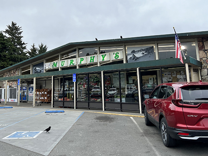 Murphy's Market &ndash; where locals shop and visitors discover they've been using the wrong hot sauce their entire lives.