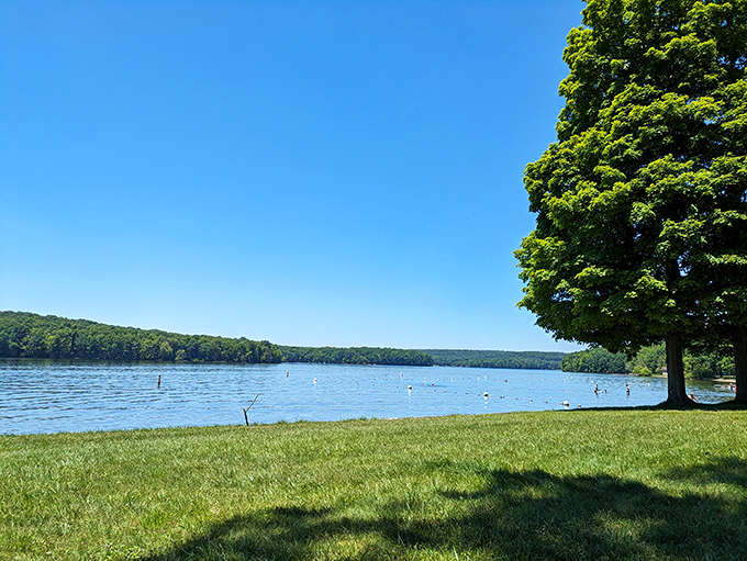 Summer days at Prince Gallitzin are measured in sunshine and ripples, where the forest meets the water in perfect harmony.