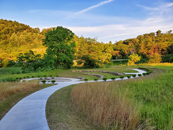Nature doesn't need Instagram filters, especially in Hollidaysburg's parks. This winding path practically whispers, "Follow me, the office emails can wait."