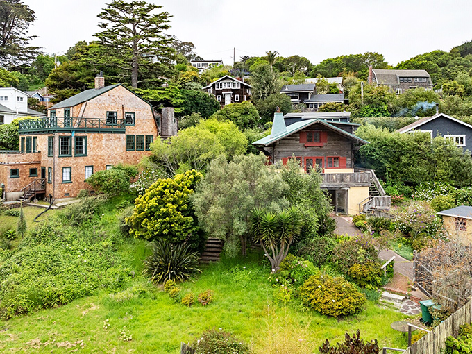 Houses cascade down hillsides toward the sea—each one seemingly positioned for the perfect sunset view and morning fog show.