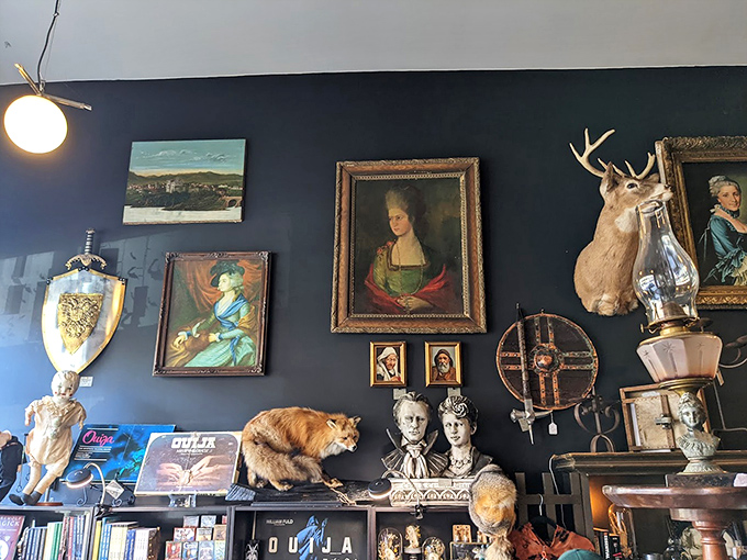 The wall of curiosities creates a cabinet of wonders effect where taxidermy, portraiture, and oddities coexist in a display that would make Wes Anderson reach for his symmetrical composition notebook.