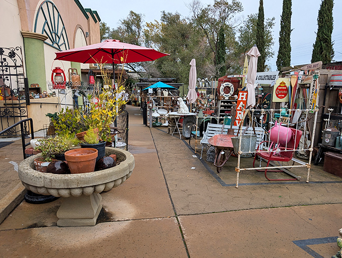 The outdoor section proves that even garden gnomes and weathered patio furniture deserve a second chance at backyard glory.