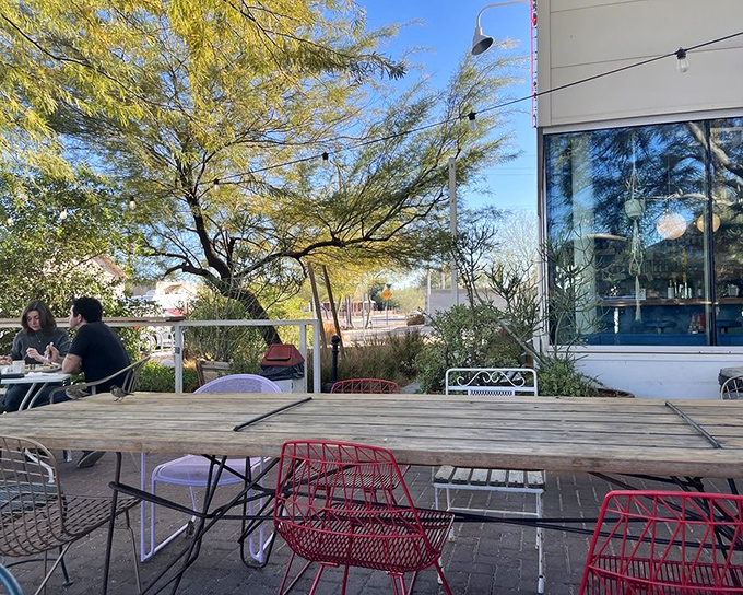Phoenix sunshine filtering through palo verde trees creates nature's perfect lighting for outdoor dining at this neighborhood gem.
