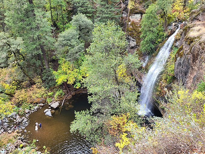 Bird's eye view of paradise. From up here, you can map your afternoon: swim, sunbathe, repeat until thoroughly rejuvenated.