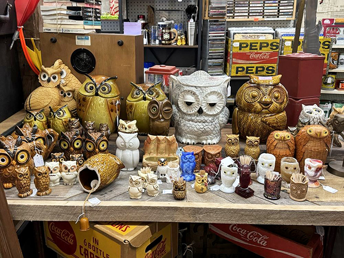 The owl collection proves that before there were cat videos, there were ceramic hooting birds &ndash; a quirky obsession that never quite goes extinct.