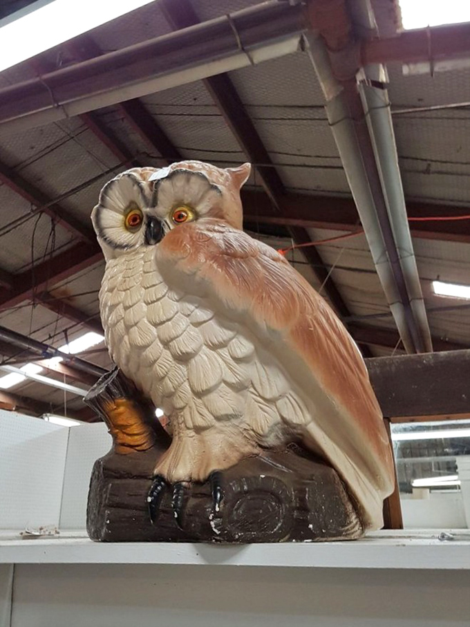 "Whooo wants to buy me?" This vintage ceramic owl has the kind of piercing stare that follows you all the way to the checkout counter.