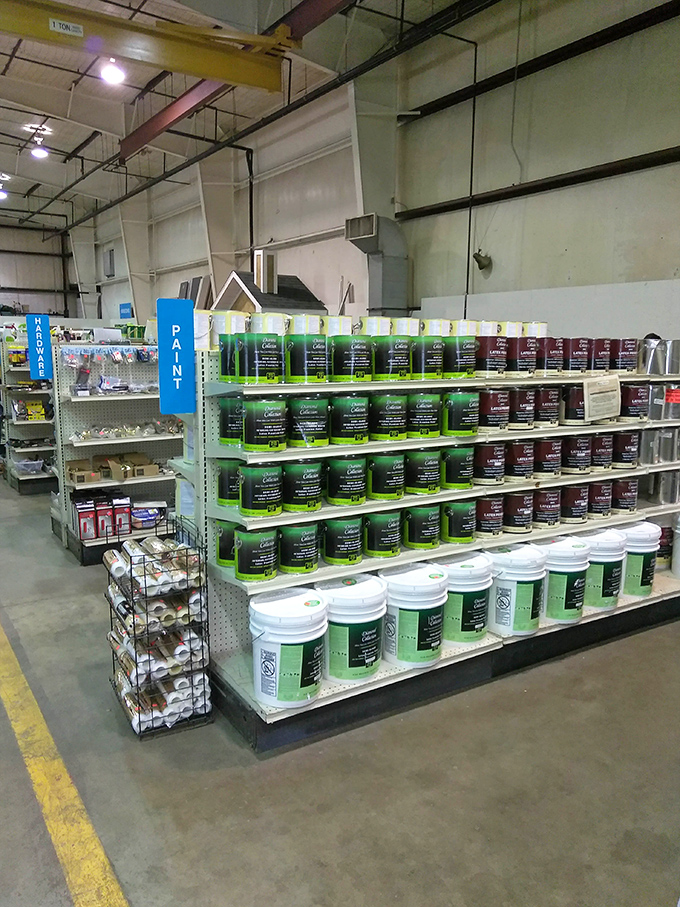 Paint cans lined up like colorful soldiers, ready to transform any room into something spectacular.