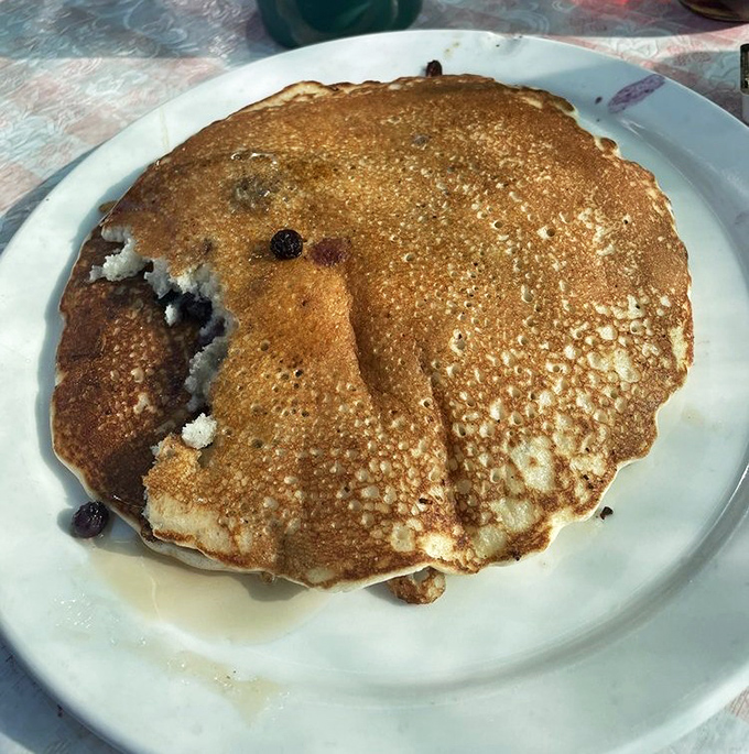 A blueberry pancake that's achieved that golden-brown perfection &ndash; the crispy edges giving way to a fluffy interior studded with bursts of fruit.
