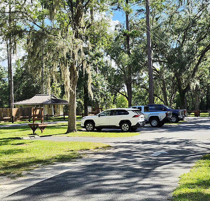 The parking area offers front-row access to natural splendor. These vehicles look like they're taking a well-deserved break from city life.