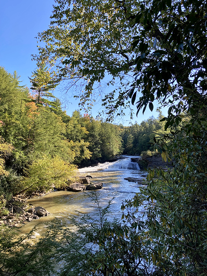 Sunlight turns the flowing water into liquid gold. If only my retirement account appreciated this beautifully in the sunshine.