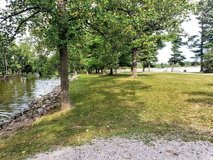 The gentle curve of shoreline reveals Harrison Lake's serene personality, where water meets land in a handshake as old as time itself.