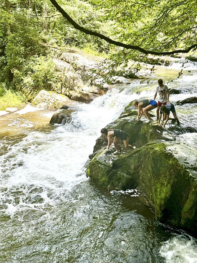 Nothing says "summer in Damascus" like scrambling over sun-warmed rocks while the waterfall provides nature's perfect soundtrack.