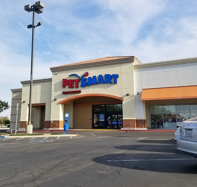 Yes, Porterville has the national chains too&mdash;because sometimes your pet needs a spa day even in a small town.