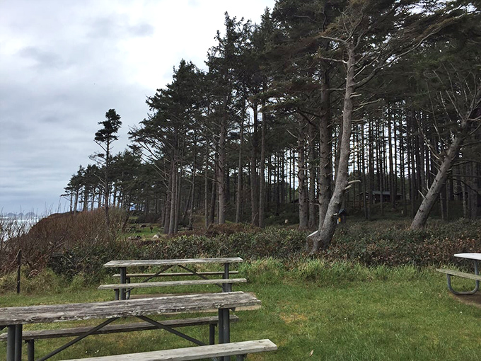 Nature's dining room awaits. These weathered picnic tables have hosted countless meals with million-dollar views on the side.