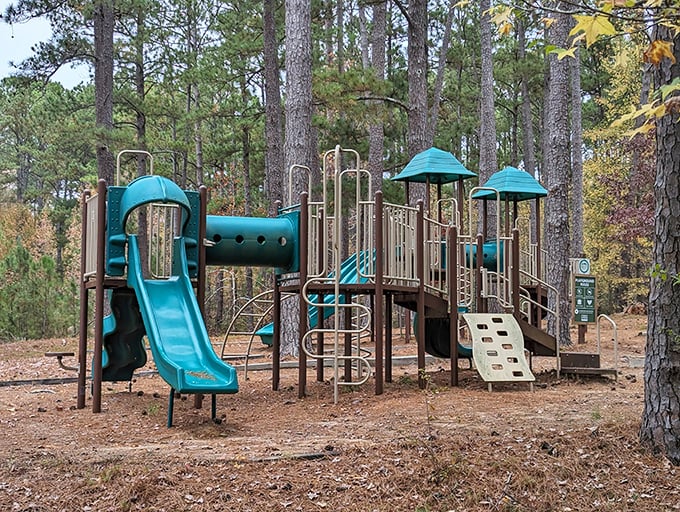 This playground equipment has seen more genuine laughter than most comedy clubs, and the admission price is absolutely perfect.