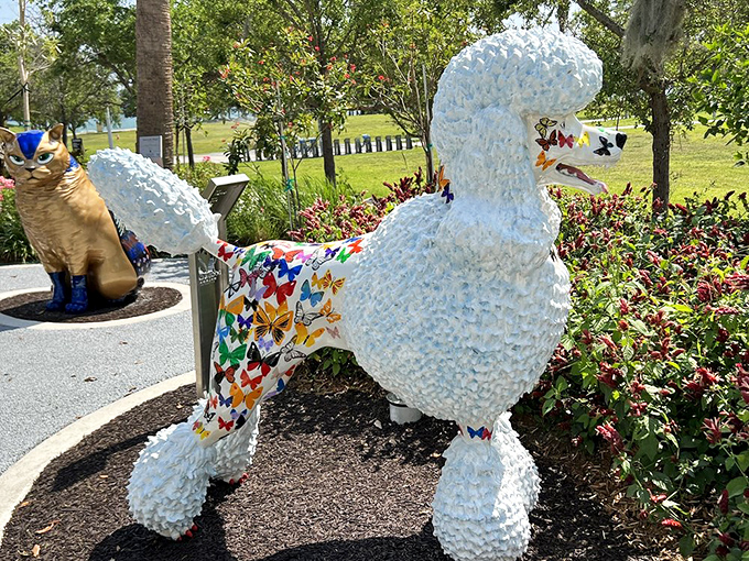 A poodle that looks like it stepped straight out of a fairy tale. The white textured coat with colorful patchwork creates a magical effect.