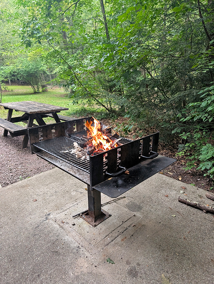 The original cooking app&mdash;actual fire! This grill has prepared more memorable meals than any fancy kitchen gadget ever could. 