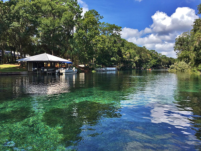Waterfront living, Dunnellon-style: homes with private docks where the morning commute involves a kayak and the traffic consists of passing turtles.