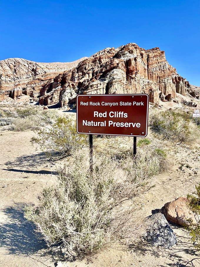 Welcome to Mars-on-Earth. The Red Cliffs Natural Preserve showcases some of California's most otherworldly landscapes just hours from Los Angeles.