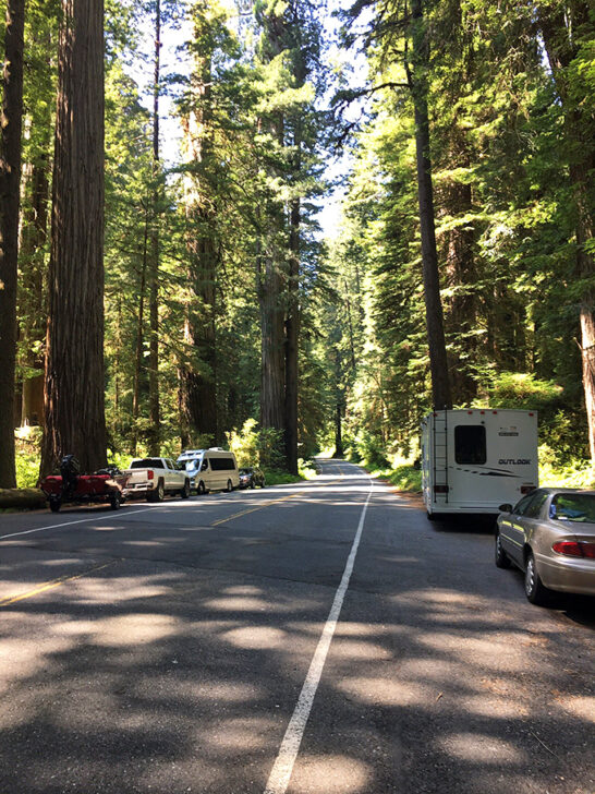 The Scenic 10-Mile Drive In California You’ve Probably Never Heard Of