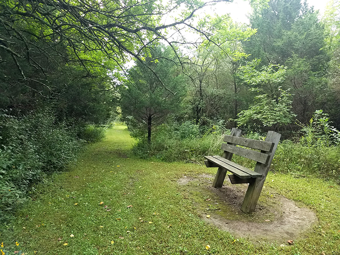 This humble bench offers five-star views without reservation requirements&mdash;the best seat in nature's theater is always available.