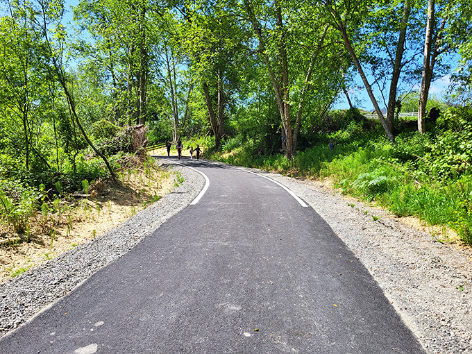 This riverside walking path invites daily constitutionals where the only membership fee is showing up with comfortable shoes.