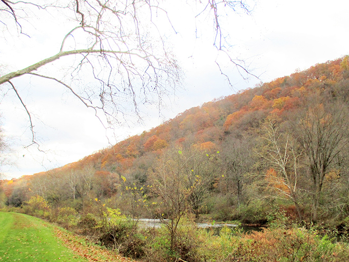 Fall foliage in Pennsylvania isn't just pretty&mdash;it's a full-sensory masterpiece that makes New England leaf-peepers wonder if they've been visiting the wrong region.