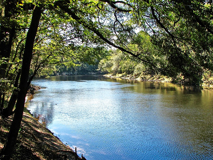 The Suwannee's gentle current carries away your worries along with fallen leaves. This isn't just a river view&mdash;it's nature's stress management program in liquid form.