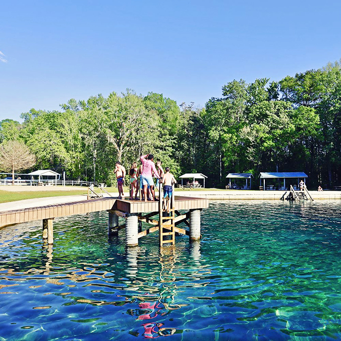 Ginnie Springs' crystal-clear waters invite you to float away your worries&mdash;and possibly spot fish judging your swimming technique.