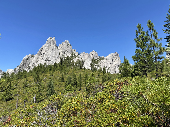 Mother Nature's architectural masterpiece. These towering spires make you wonder if Gaudí himself might have moonlighted as a geological consultant.