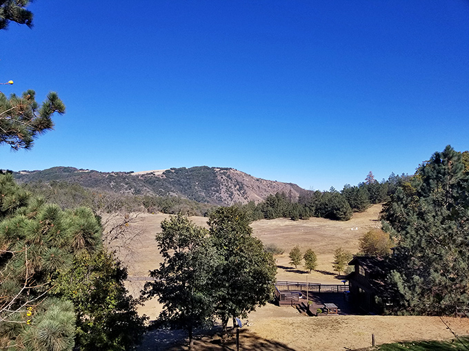 These rolling hills and open meadows aren't just pretty&mdash;they're nature's version of a deep exhale after months of city living.