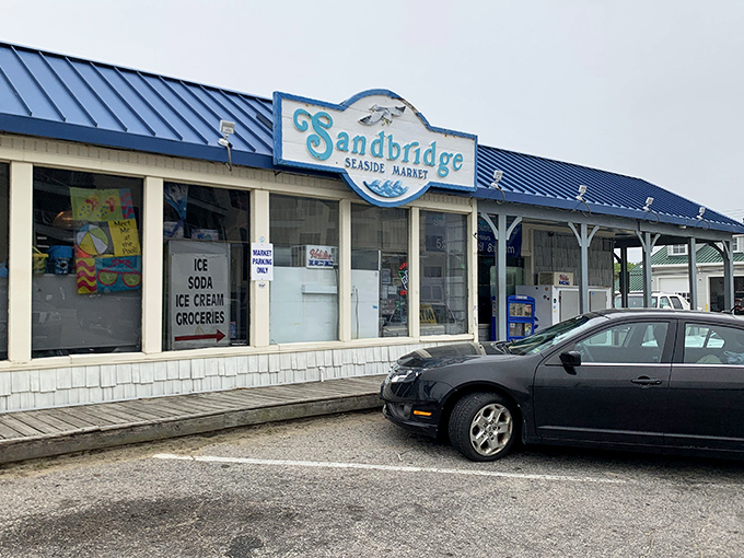 The Sandbridge Seaside Market: where locals pretend to be annoyed when you ask directions, but secretly love sharing their paradise with appreciative visitors.