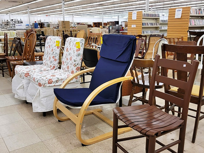 The chair collection: where comfort meets affordability. That bentwood beauty would cost three figures at a trendy furniture store, but here it's priced for actual humans.