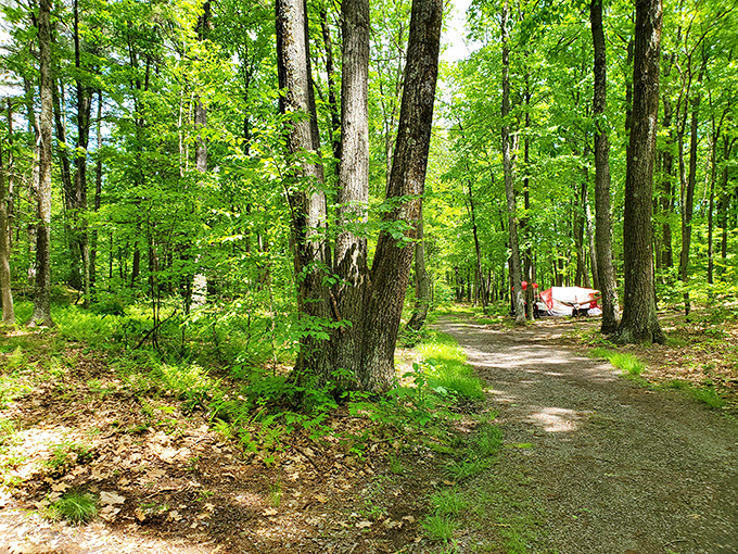 A trail that beckons with promises of adventure, or at minimum, enough steps to justify that second s'more later.