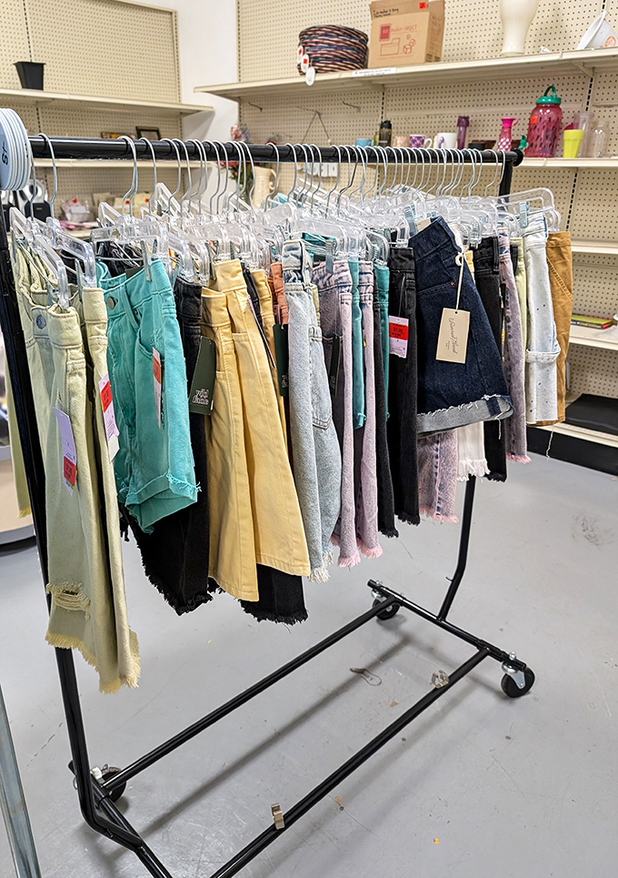 Summer shorts that have stories to tell, if only pockets could talk.