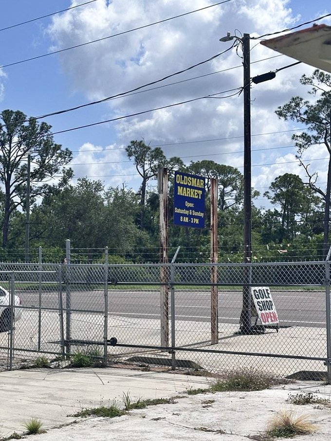 The roadside sign announces weekend hours to passing traffic. Like a beacon calling to bargain hunters and curious travelers alike.