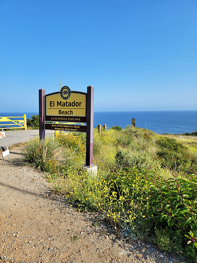 The sign that promises adventure. El Matador's entrance marker stands amid coastal wildflowers, the first hint of the natural beauty that awaits below.