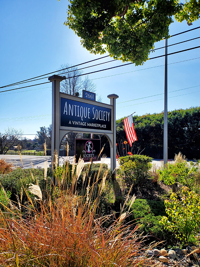 The roadside sign stands like a beacon to treasure hunters, with ornamental grasses adding a touch of California landscape to the welcome.