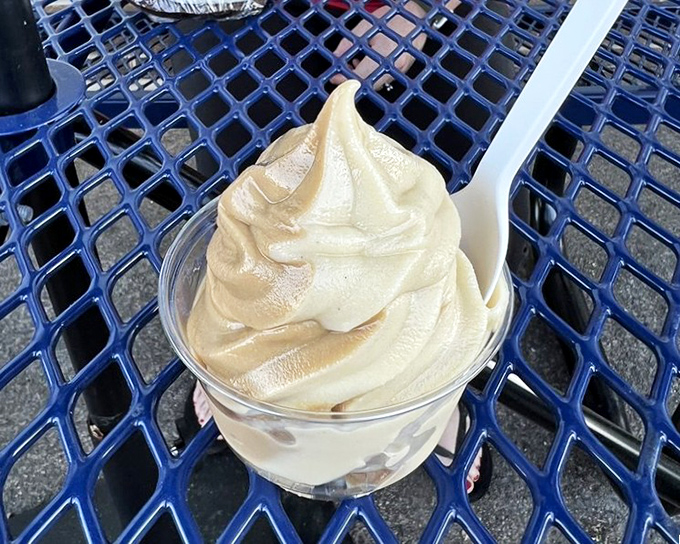 This soft serve is so perfectly swirled it belongs in the Museum of Modern Art. Creamy, dreamy, and defying all vegan stereotypes.