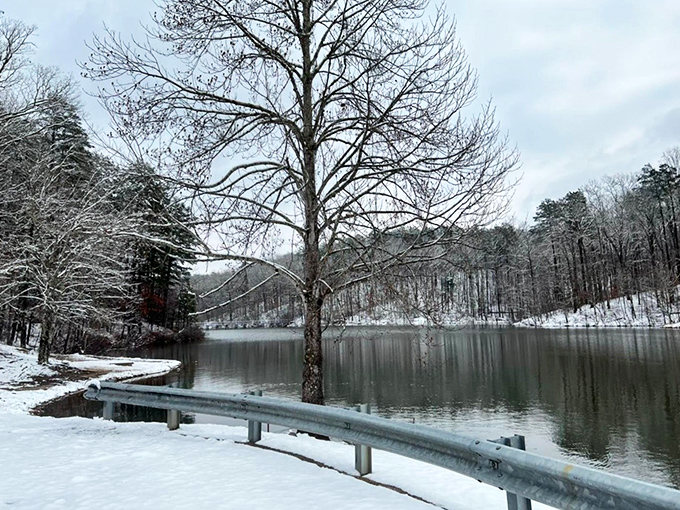 Winter transforms the park into a hushed wonderland. The water sits still as glass, reflecting the world like nature's own meditation app.