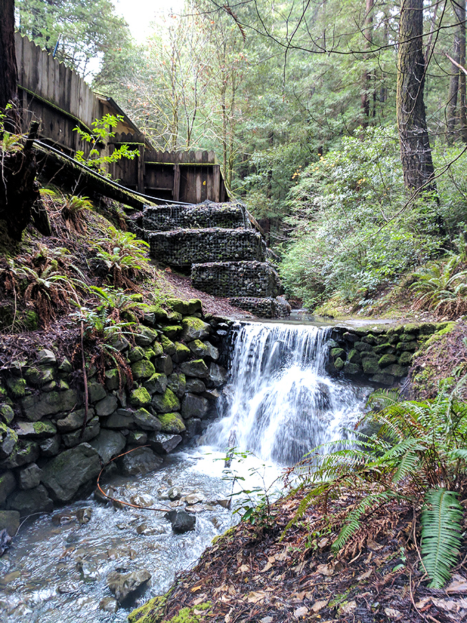 Nature's staircase of stone and water creates a soundtrack that's been playing on repeat since before recorded music existed. 